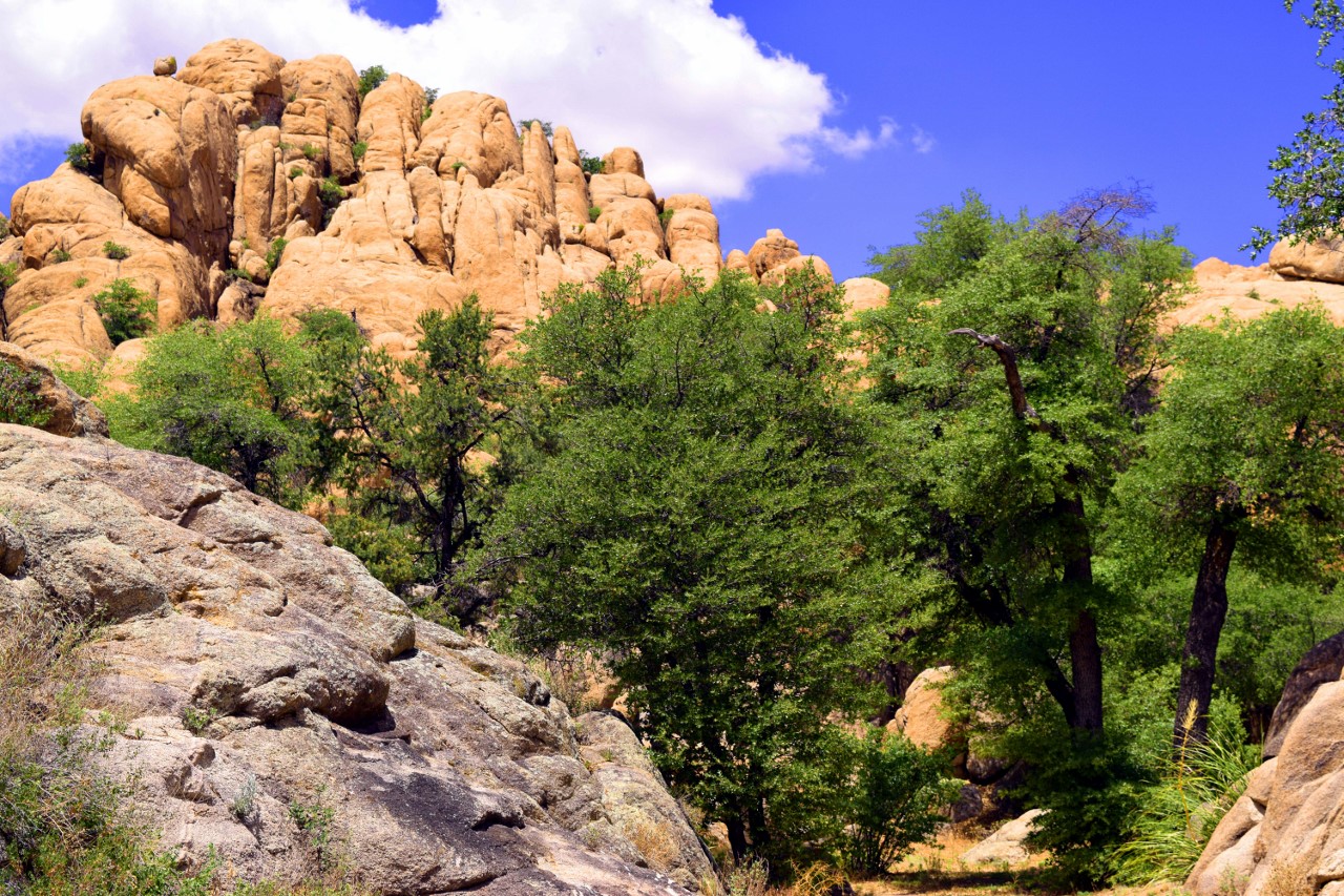 Granite Dells ~ Near Prescott, Arizona